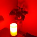 Twilight Red Light Bedtime Bulb for Sleep | Low Blue Lights