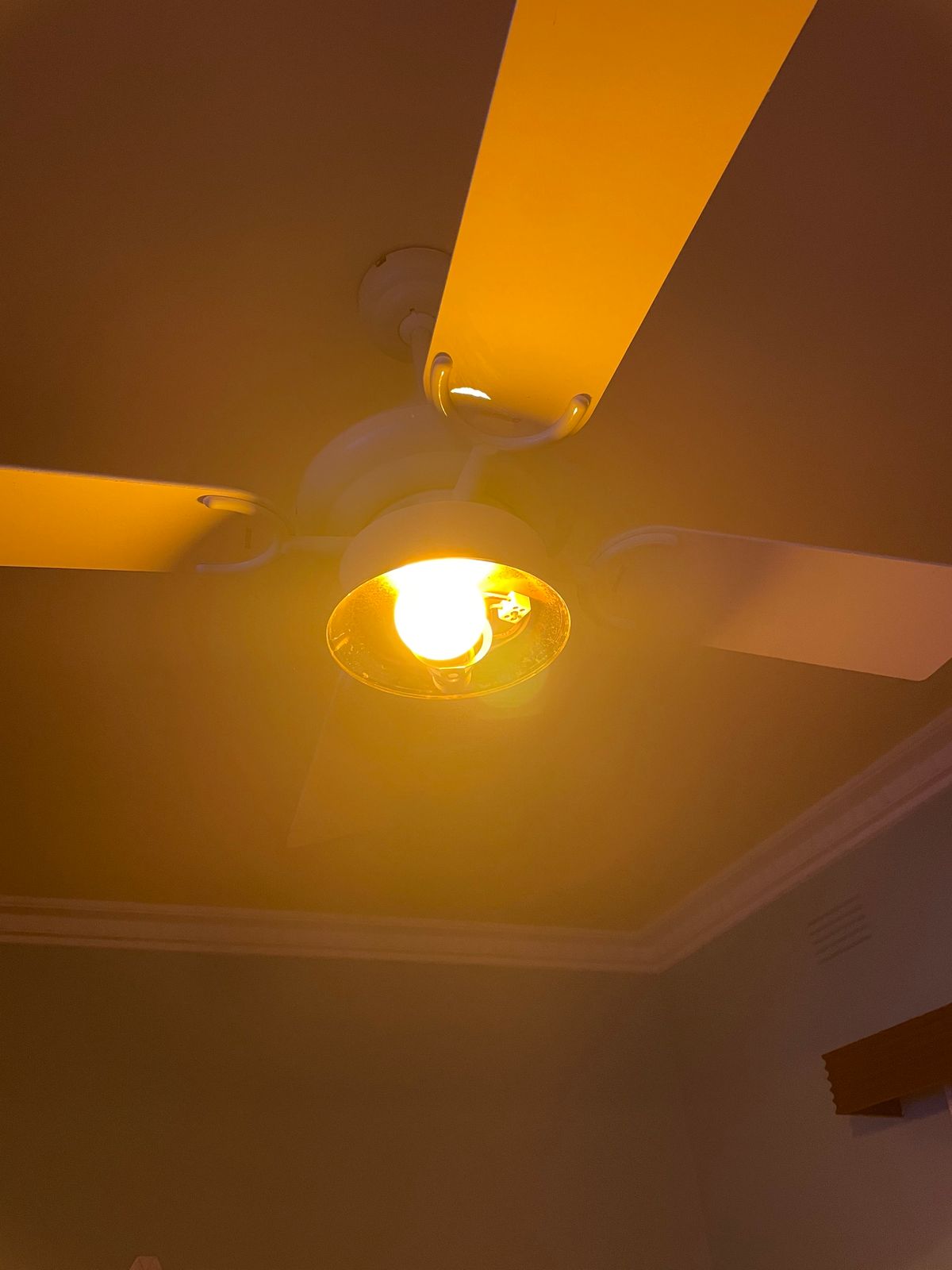 BioLight™ Full Spectrum Recessed Can Light