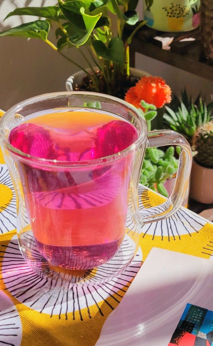 Blue Raspberry Tea | Bird & Blend Tea Co.