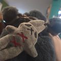 Plushie Dreadfuls - PTSD Bunny - Plush Stuffed Animal | Mysterious