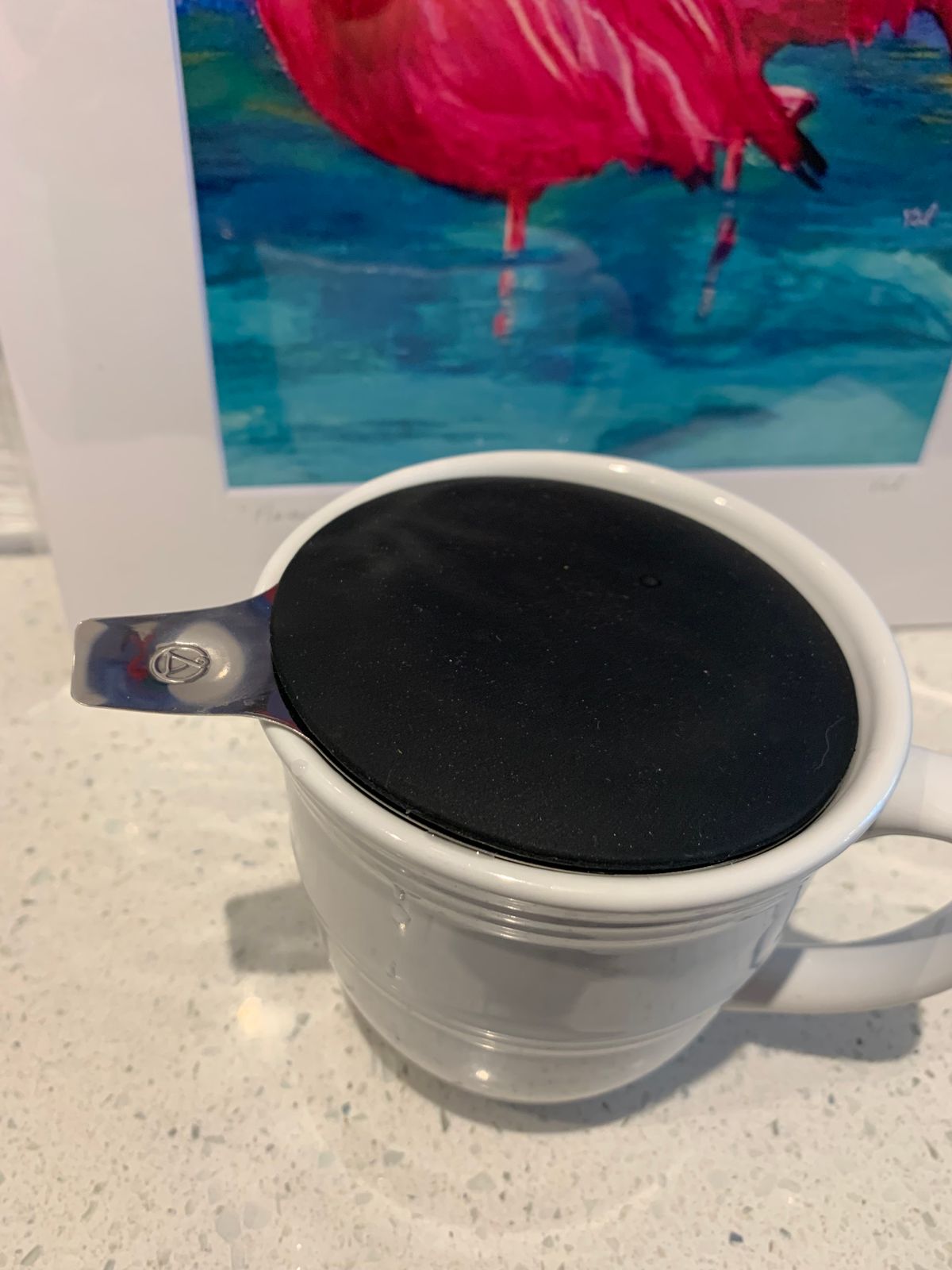 Micro Mesh Stainless Steel Tea Infuser by August Uncommon Tea