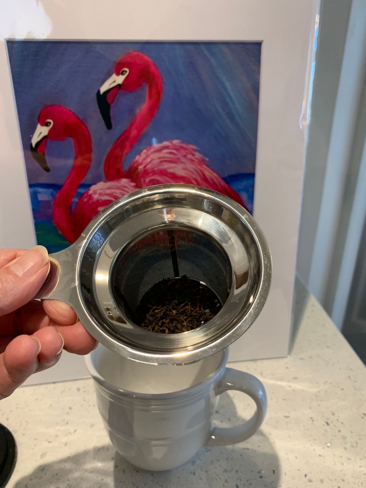 Micro Mesh Stainless Steel Tea Infuser by August Uncommon Tea