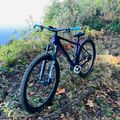 Spot Bikes - Rocker Singlespeed 29