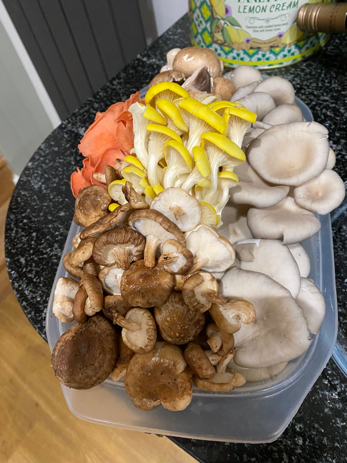 The Classic Mushroom Mix – The Mushroom Barn