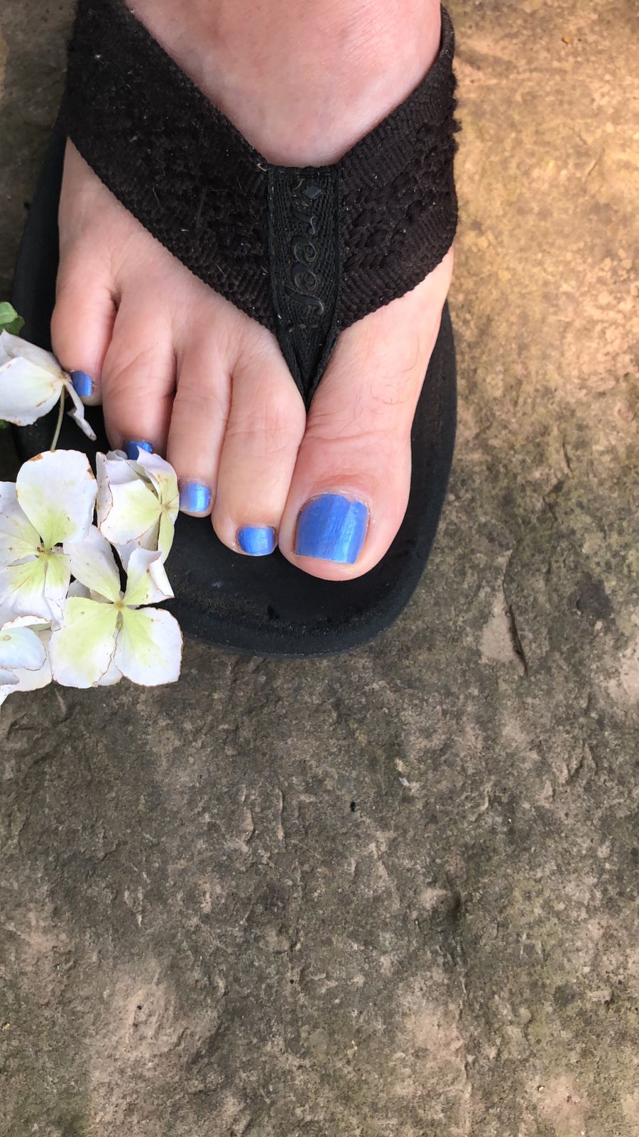 You Had Me At Hydrangea Nail Polish - ORLY