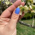 You Had Me At Hydrangea – ORLY