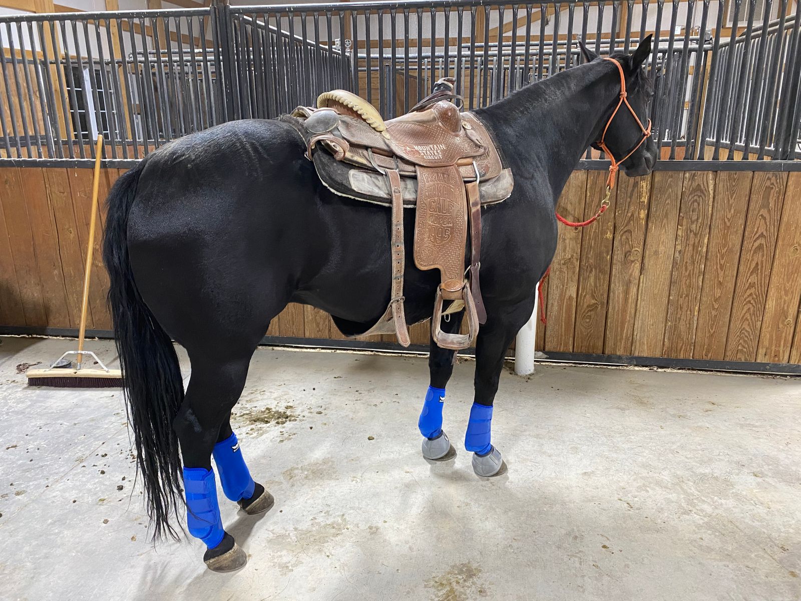 Relentless All-Around Front Splint Boots