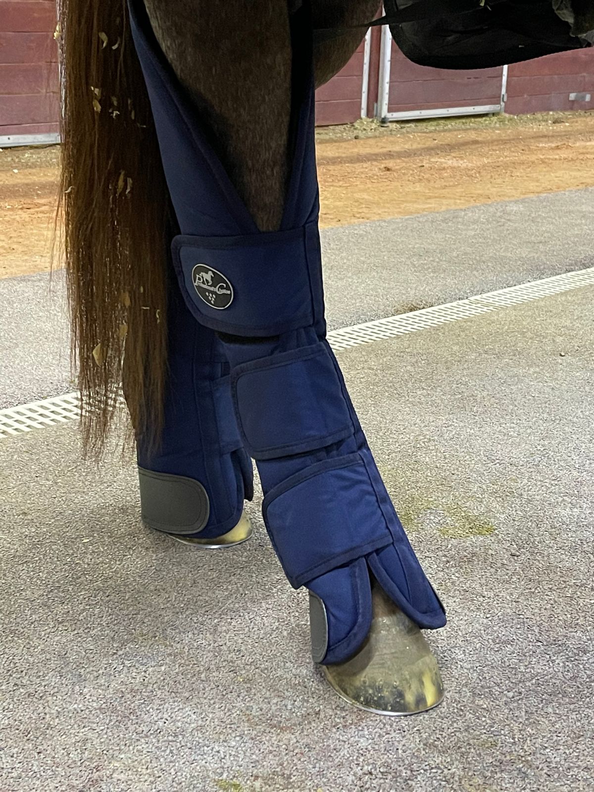Professionals Choice Choice Shipping Boots