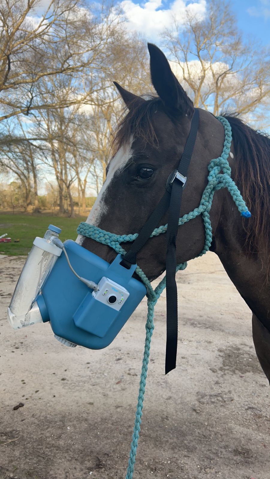 Flexineb Equine Nebulizers E3 Portable Equine Nebulizer