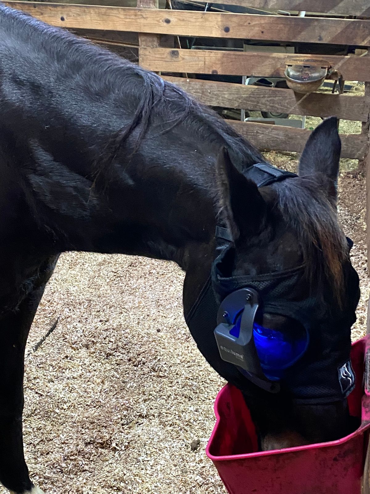 Equilume Curragh Light Mask