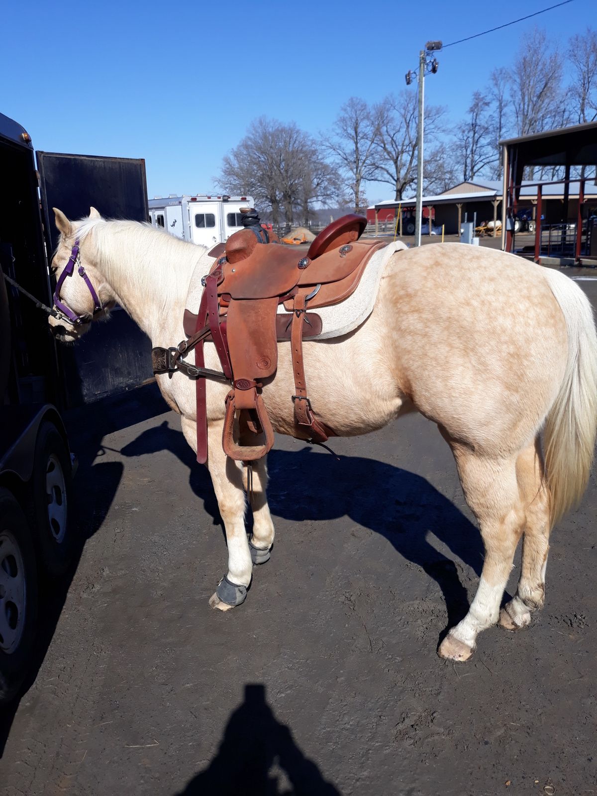 Open user-uploaded photo and review in a modal