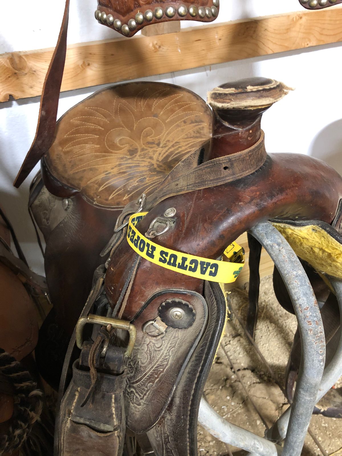 Cactus Gear Ropes Rope Strap