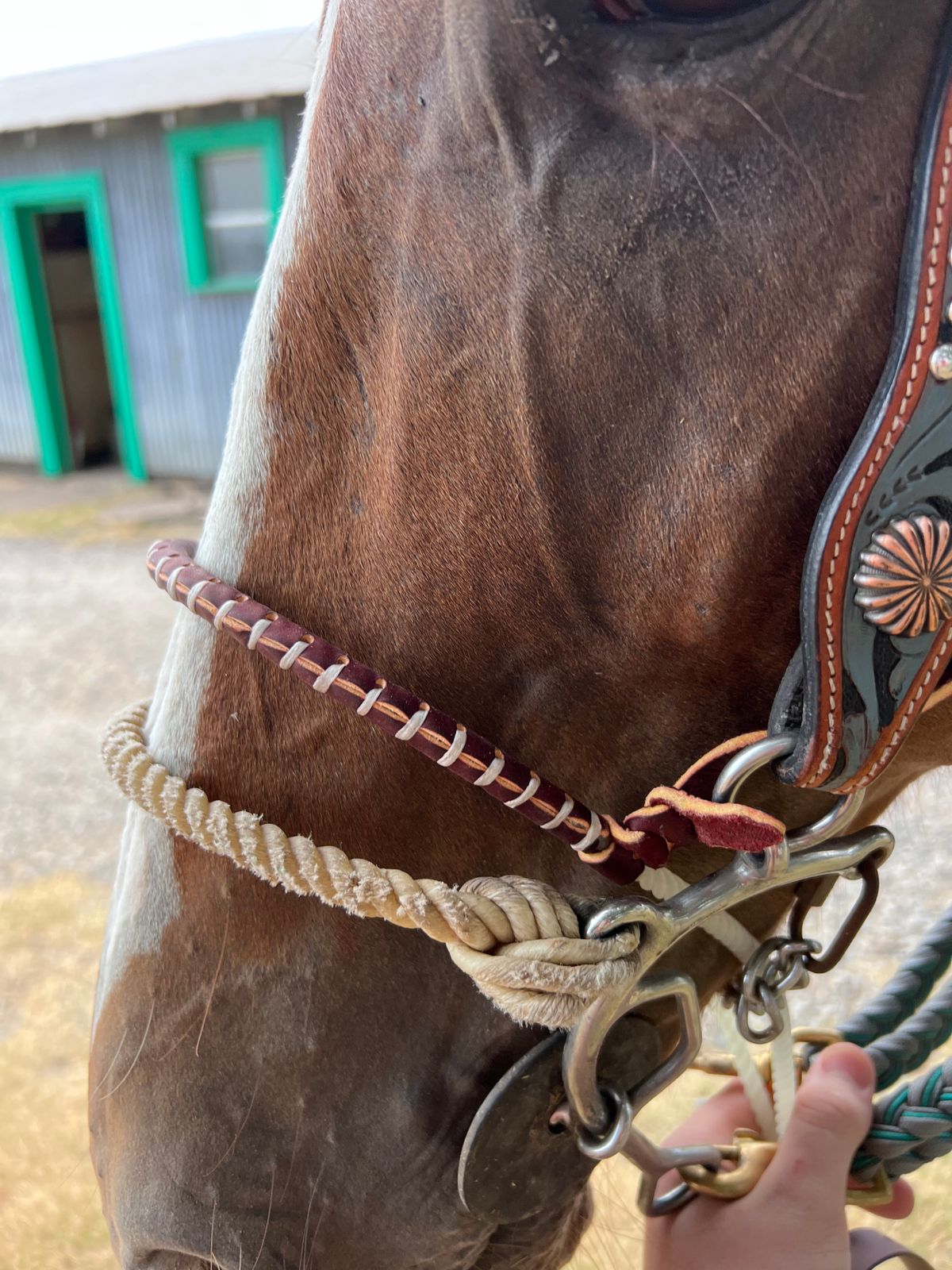 Professional's Choice Hand Laced 1/4in Rope Noseband