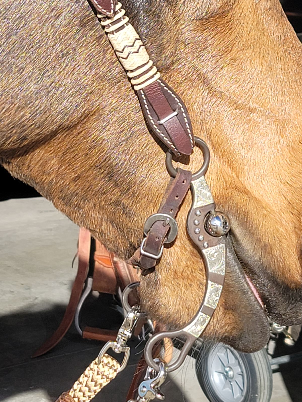 Open user-uploaded photo and review in a modal