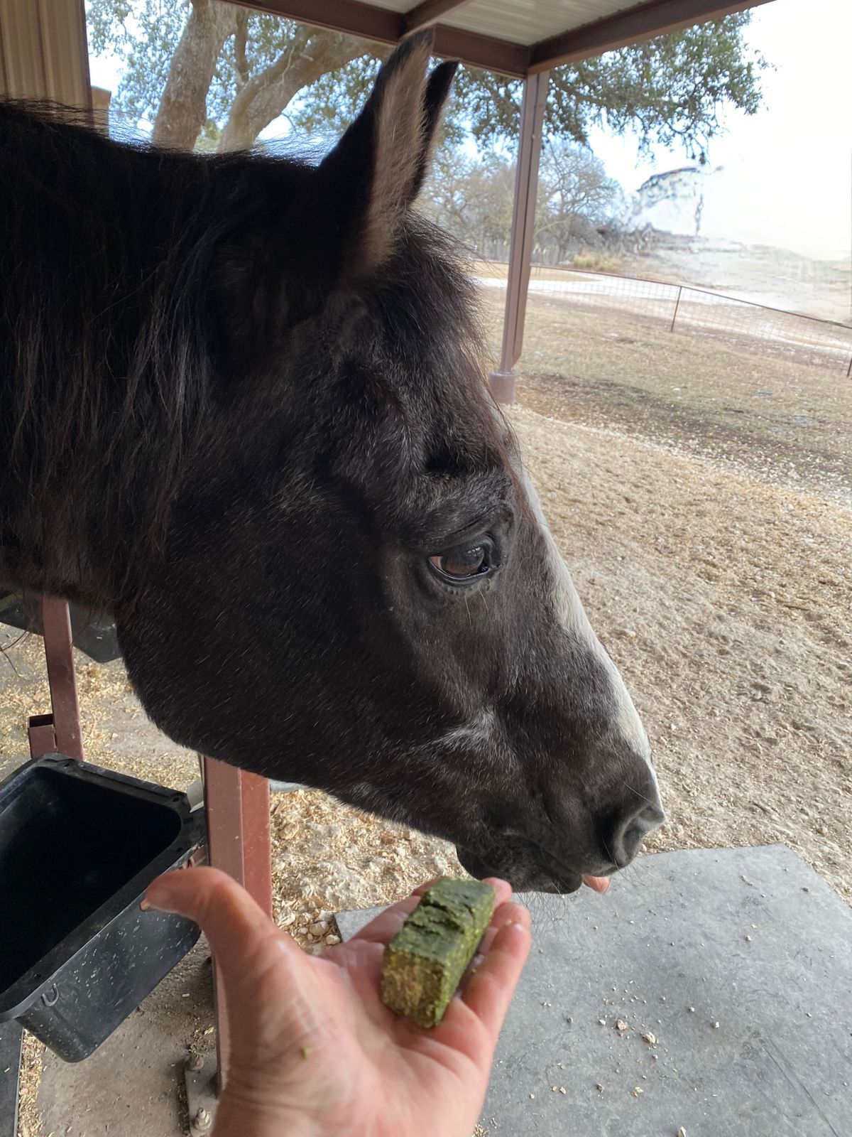 Open user-uploaded photo and review in a modal