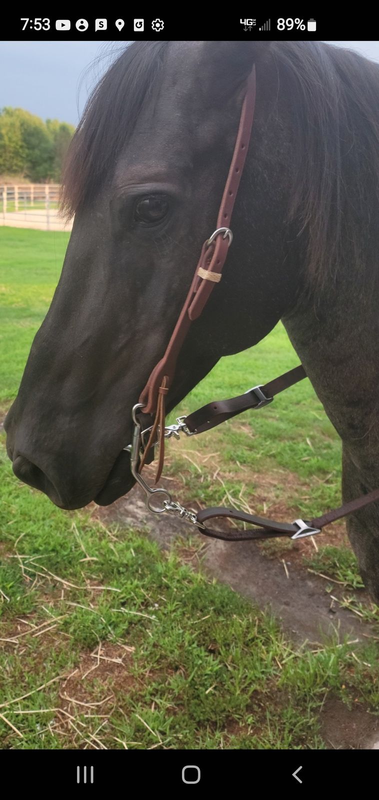 Open user-uploaded photo and review in a modal