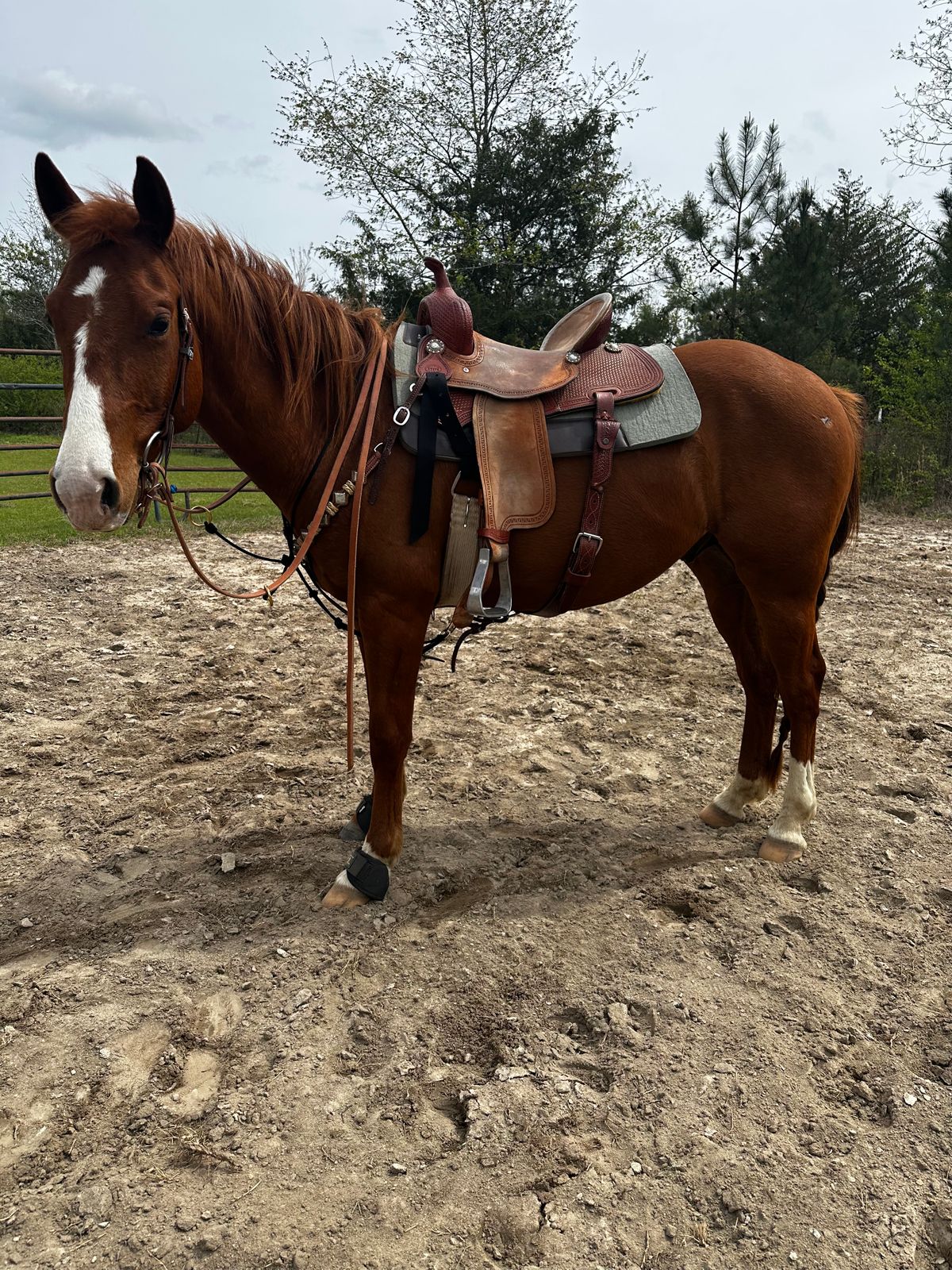 Open user-uploaded photo and review in a modal