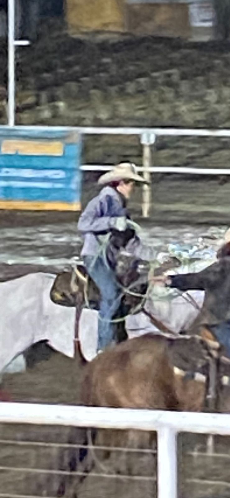 Cactus Advanced Precision Roping Gloves