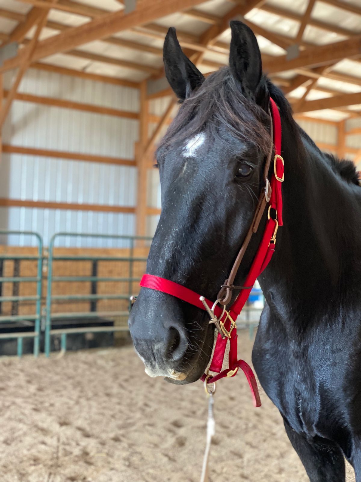 Open user-uploaded photo and review in a modal