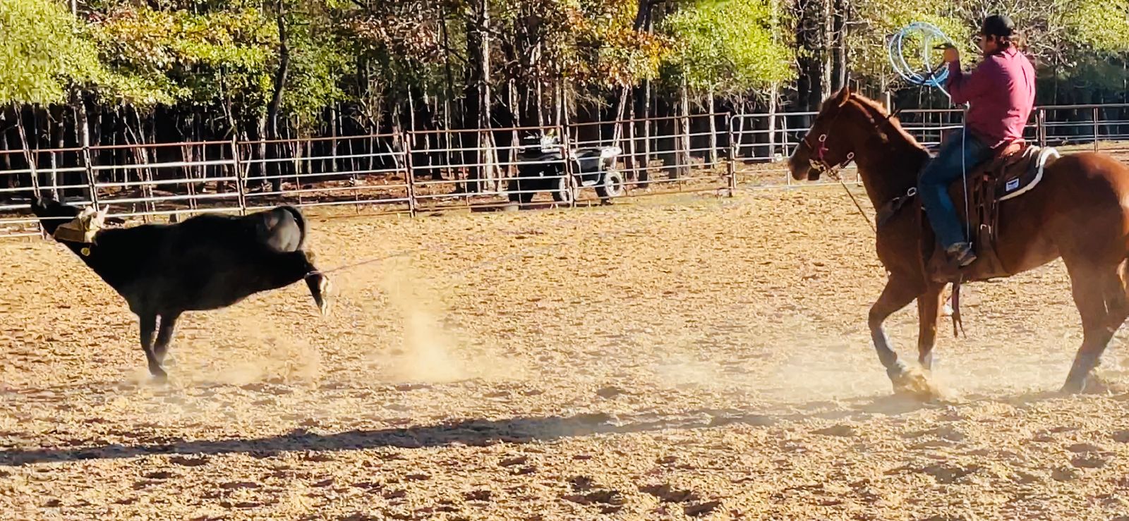 Cactus Saddlery Trevor Brazile Relentless Extreme Roper Gel 1in. Saddl