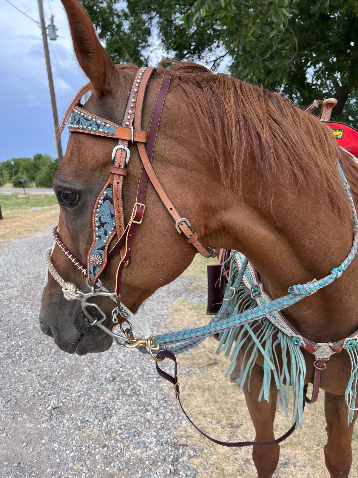 Professional's Choice Hand Laced 1/4in Rope Noseband