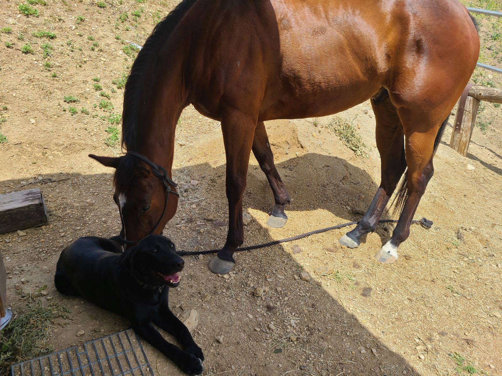 Tommy Blessing Small Port Chain Bit
