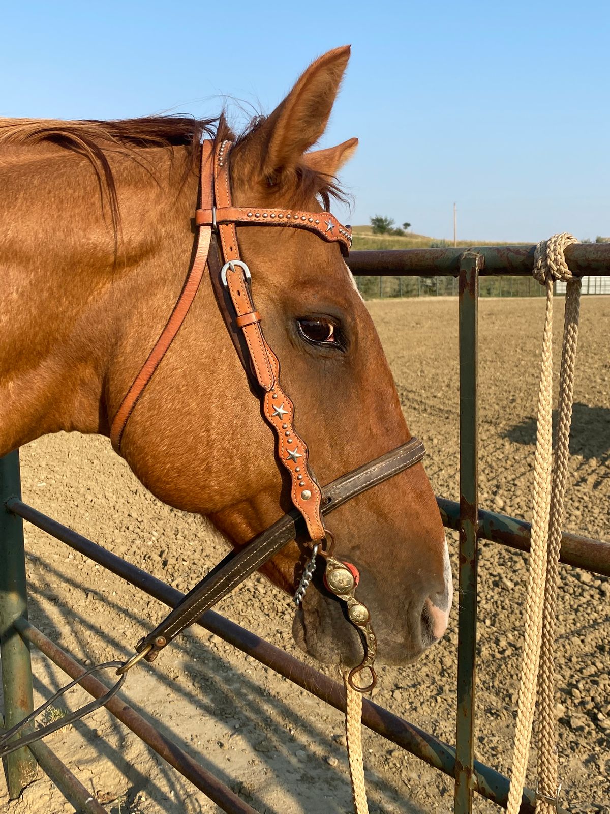Blessing Bits Antique Swept Back Port Chain Bit