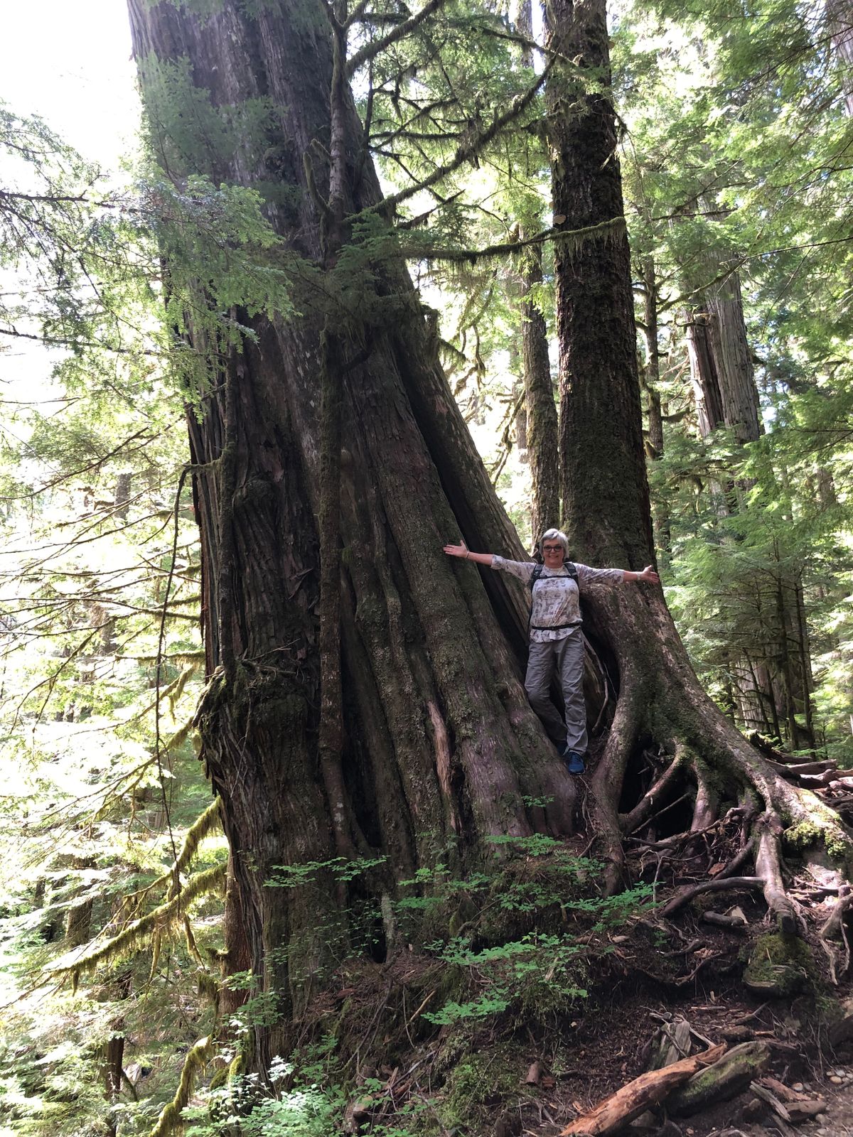 Anna Ultra Light Trail Pant | Dove Grey Ripstop – Dovetail Workwear