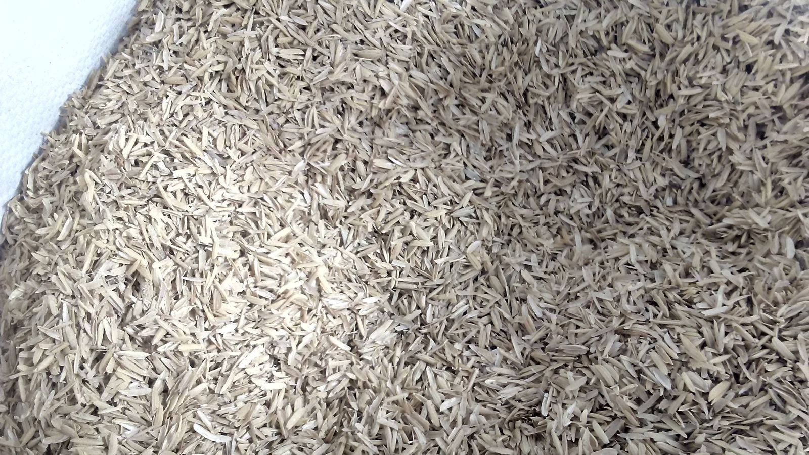 Rice Hulls Parboiled | Bulk Quantities for Sale | Best Price on 50 lb ...