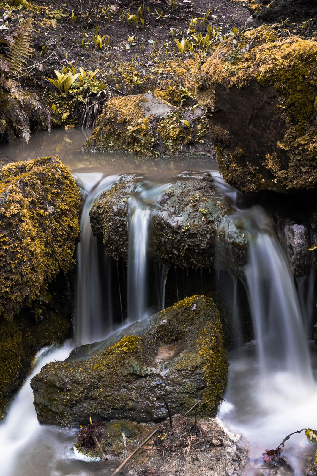 Urth The Duet Lens Filter Kit Plus+ – Urth (USA)