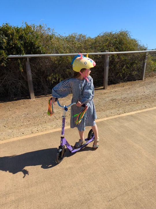 Micro Scooter Bike Ribbons – Micro Scooters NZ