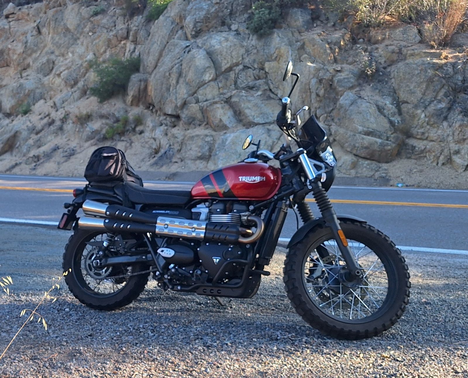 Triumph Motorcycle Slammer Tuck N Roll Gel Seat (2016+) | Brown