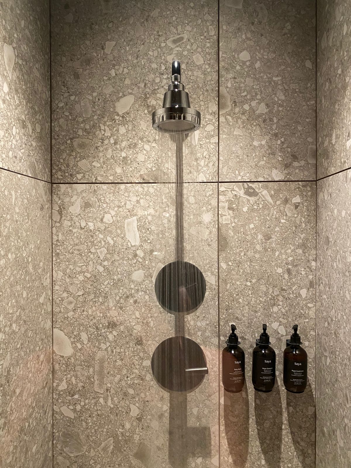 Vitaclean Vitamin C Shower Head Reviews