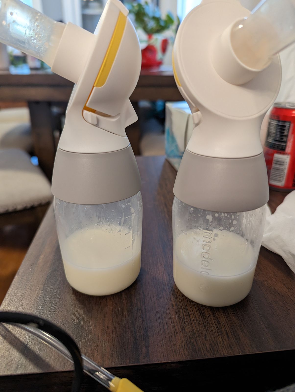 Pump Princess | Breast Milk Supplement to Increase Milk Supply ...