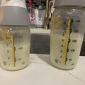 Liquid Gold Organic Lactation Blend - Optimize Breast Milk Production ...