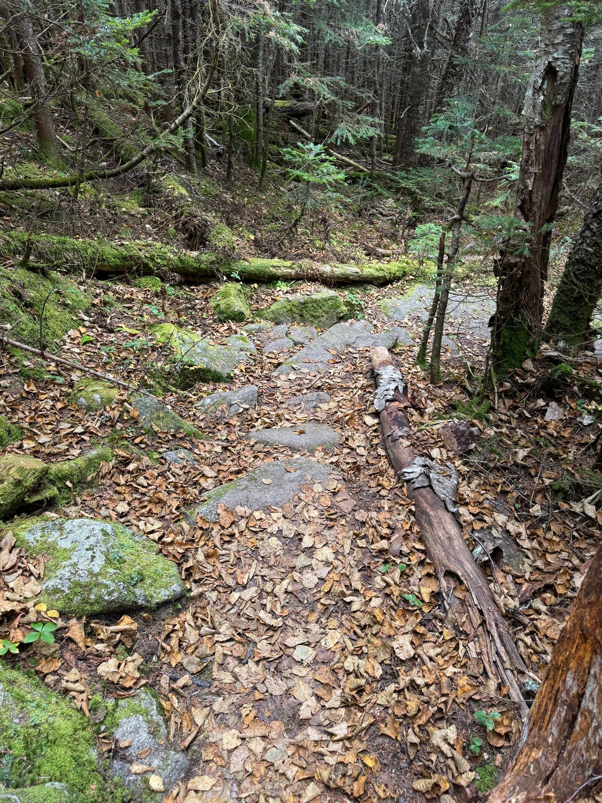 Hyperlite Mountain Gear Aero 28 Ultralight Fastpacking Pack