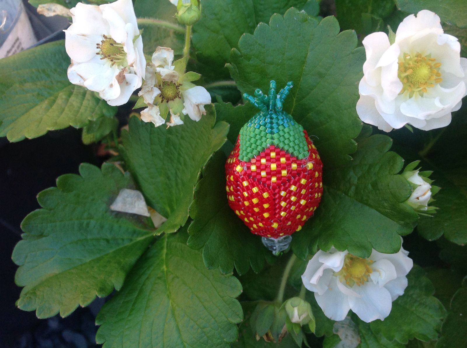 Beading tutorial peyote hexagon Strawberry 21T003 Step by step by Lady ...