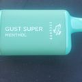 Nicotine Free Disposable Gust Super Mint – Cyclone Pods