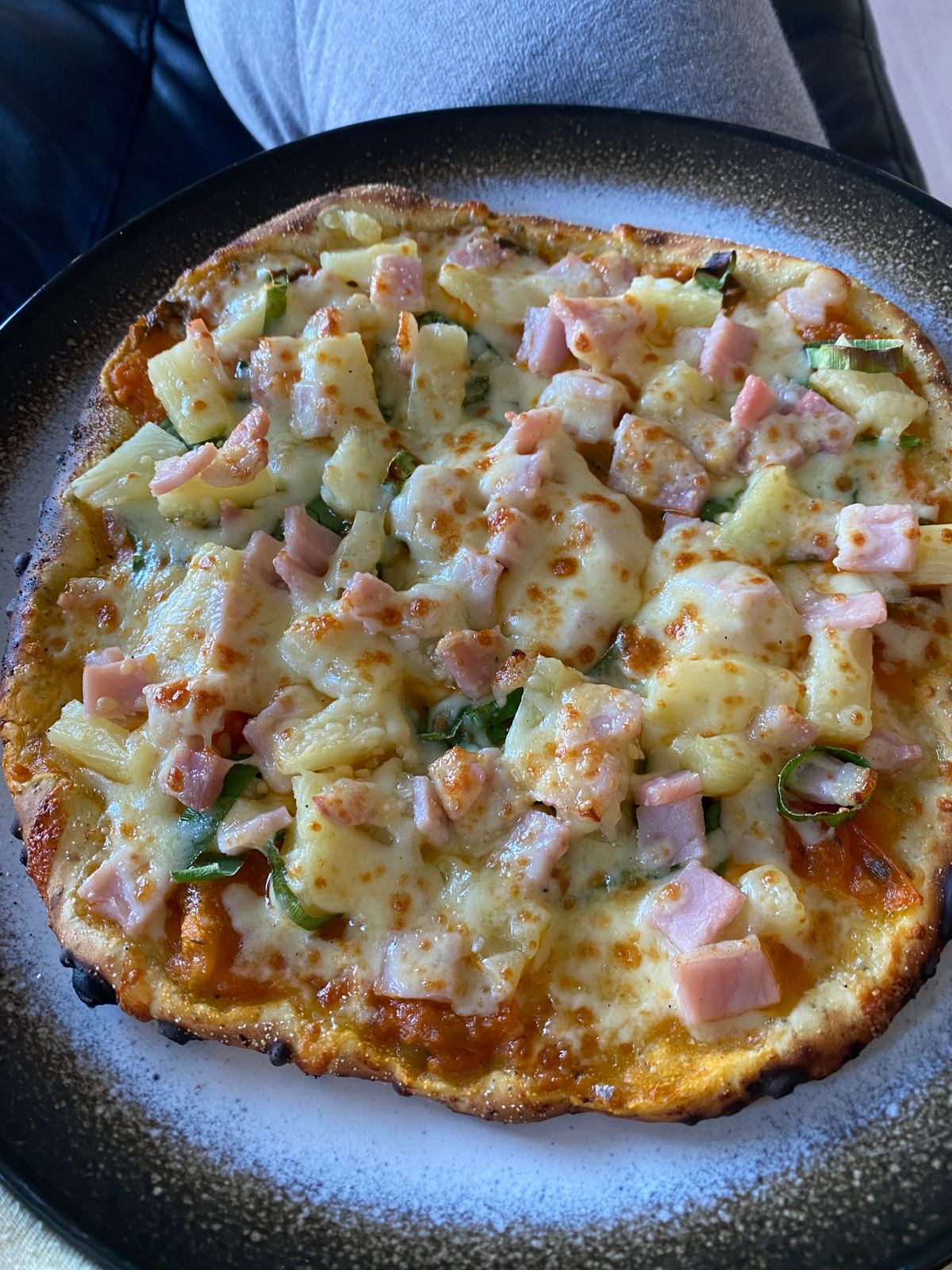 Ovana Portable Pizza Oven - Shop The Best Pizza Oven