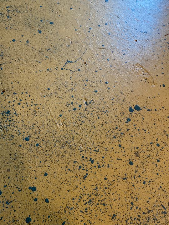 Current Mood | Green Interior Paint Color | Clare