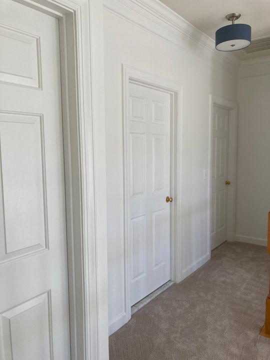 Snow Day | Cool White Paint Color | Clare