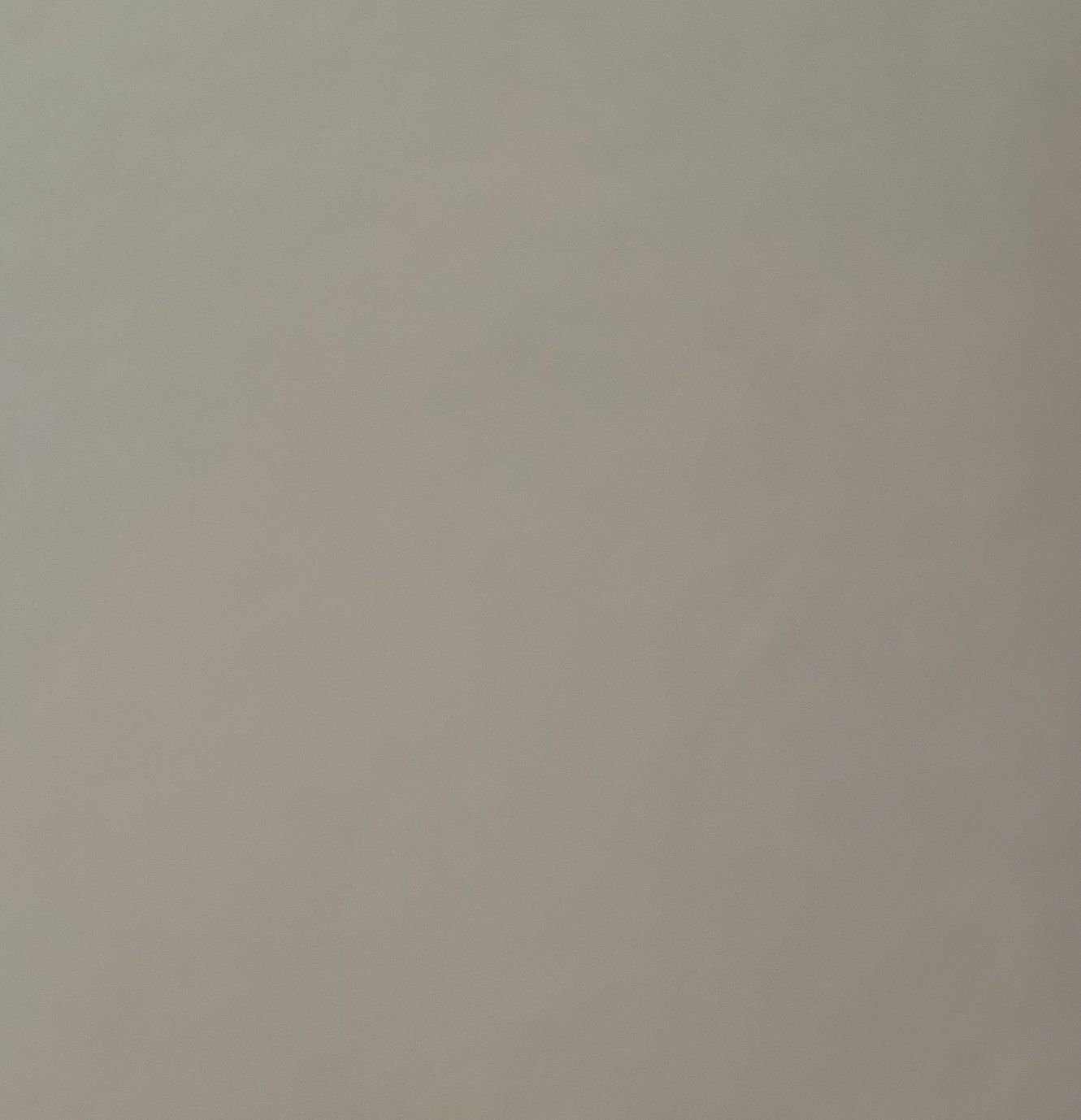 Snow Day | Cool White Paint Color | Clare