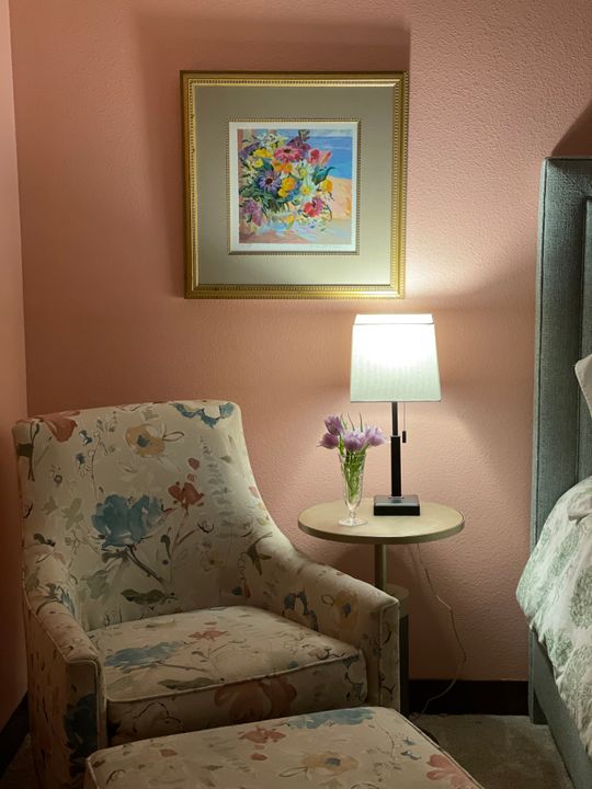 Rose Season | Rosy Pink Paint Color | Clare