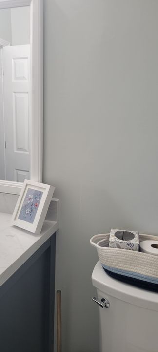 Chill | Calm Gray Paint Color | Clare