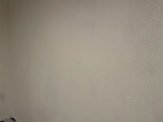 Fresh Kicks | Bright White Paint Color | Clare