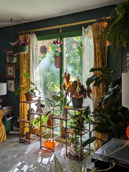 Matcha Latte | Matcha Green Paint Color | Clare