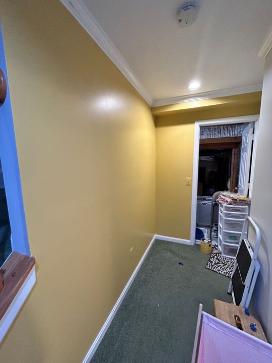 Golden Hour | Yellow Paint | Clare