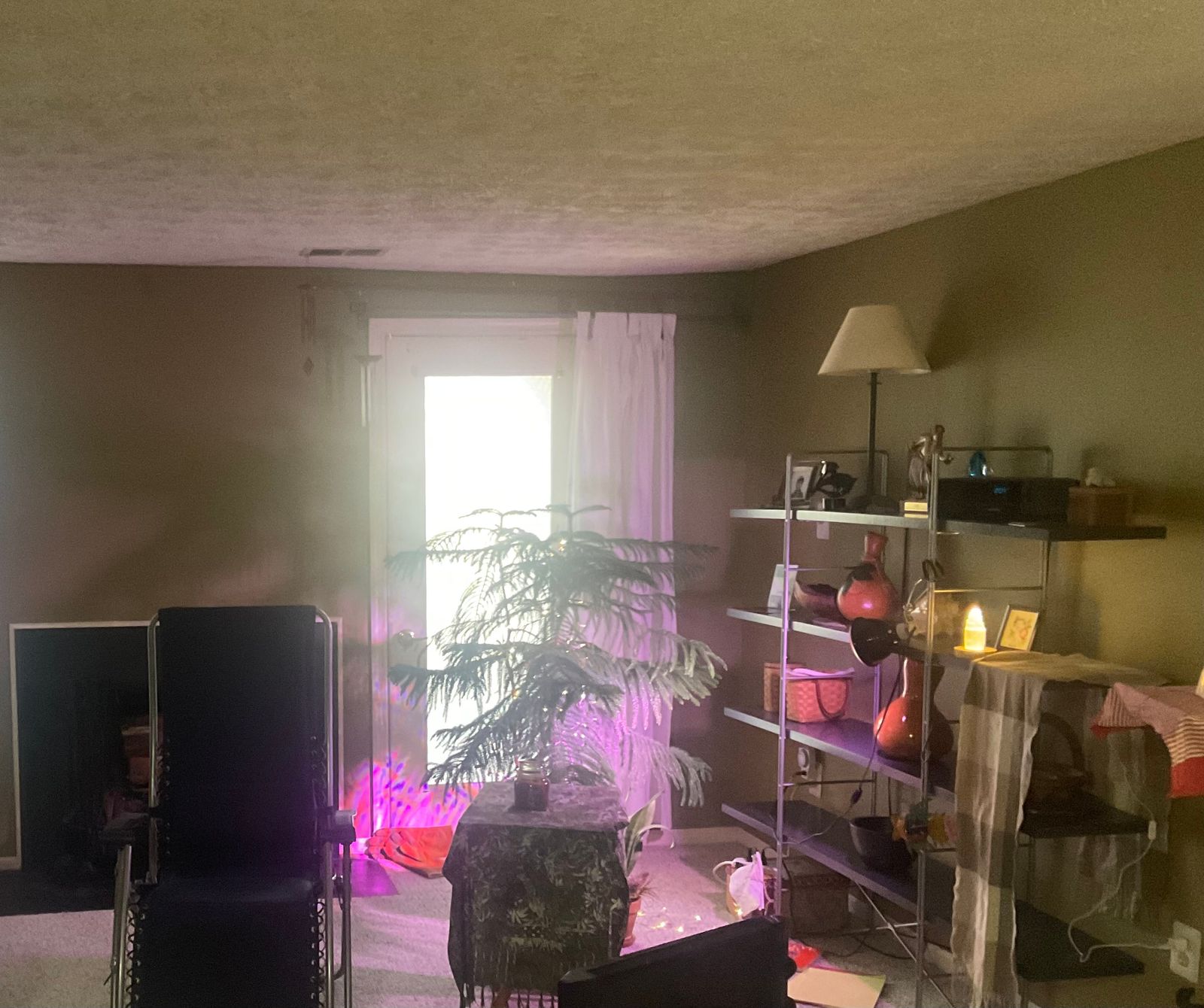 Snow Day | Cool White Paint Color | Clare