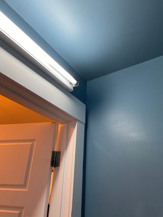 Blue Ivy | Paint Color | Clare