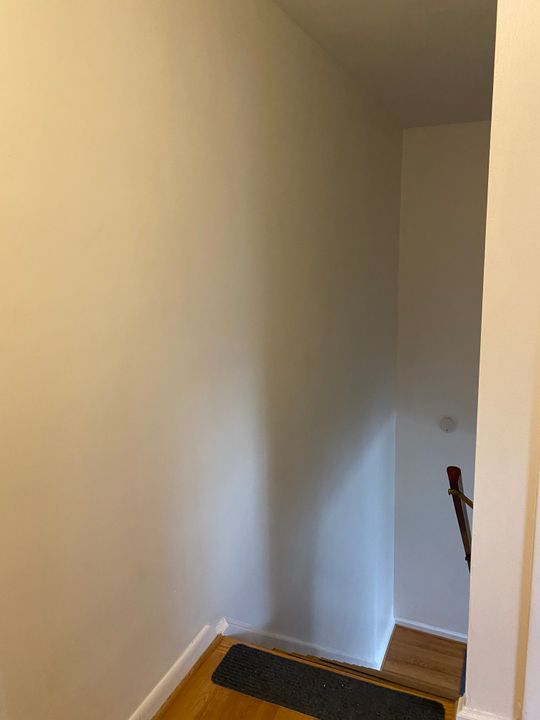 Snow Day | Cool White Paint Color | Clare